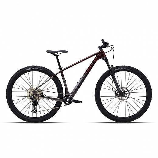 BICICLETA POLYGON SYNCLINE C3 CARBON BWN/CRC